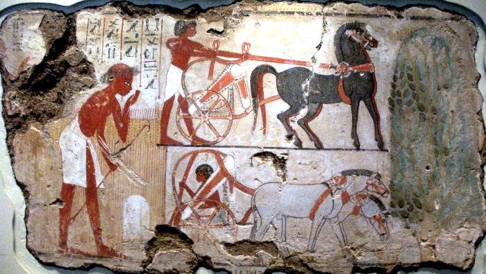 Picture Information: Surveying Fields of Nebamun (1350 BC)